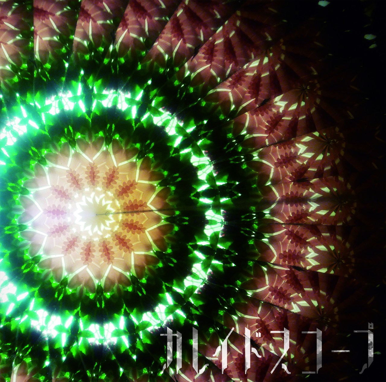 EviLA OFFICIAL WEBSITE